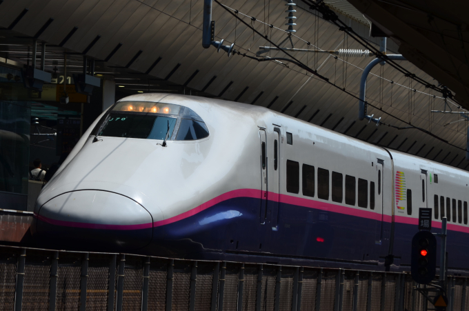 JR東日本 E2系新幹線電車 E224-1120 東京駅 (JR) 鉄道フォト・写真 by vivace115さん | レイルラボ(RailLab)