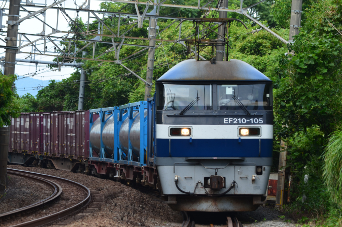 JR貨物EF210形電気機関車 EF210-105 根府川駅 鉄道フォト・写真 by vivace115さん | レイルラボ(RailLab)