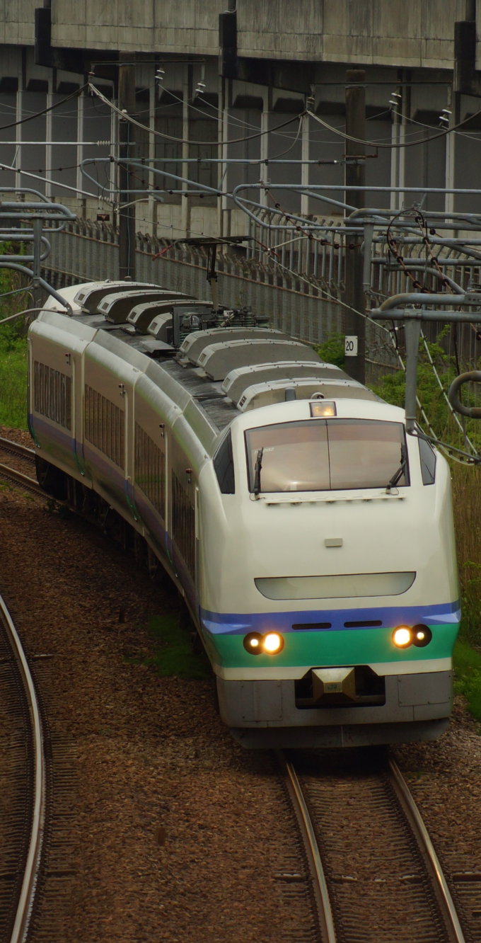 JR東日本E653系電車 しらゆき クハE653-1102 北長岡駅 鉄道フォト・写真 by ほくみちさん | レイルラボ(RailLab)