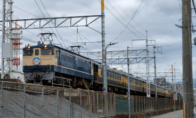 JR西日本 国鉄EF65形電気機関車 サロンカーexpoなにわ EF65 1133 甲子園口駅 鉄道フォト・写真 by はるぴーさん ...