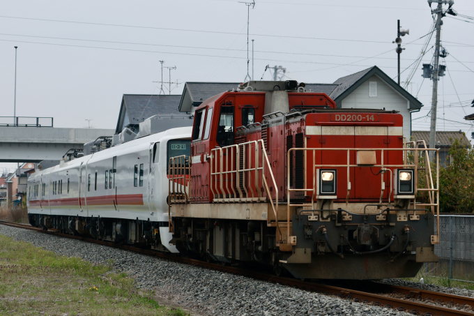JR貨物DD200形ディーゼル機関車 DD200-14 陸前山下駅 鉄道フォト・写真 by P32好きなダイソンさん | レイルラボ(RailLab)