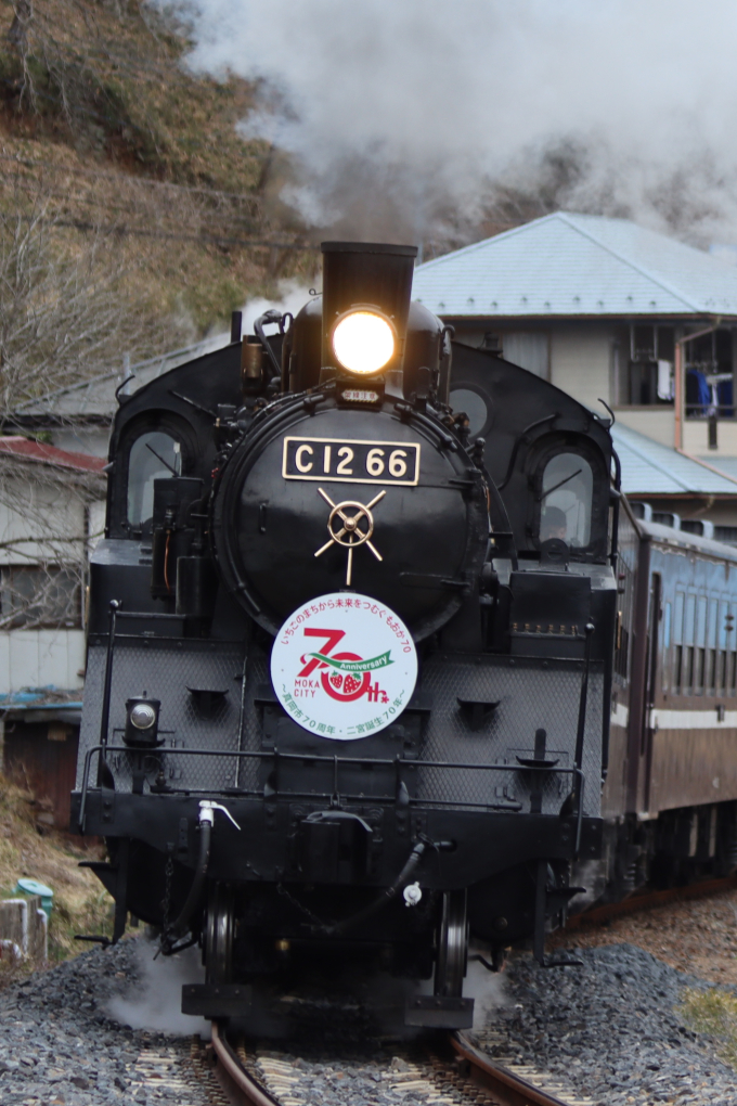 真岡鐵道 国鉄C12形蒸気機関車 C12 66 茂木駅 鉄道フォト・写真 by tako_kmさん | レイルラボ(RailLab)