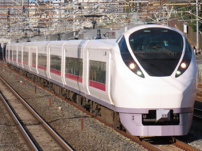 JR東日本E657系電車 クハE656-9 松戸駅 (JR) 鉄道フォト・写真 by クハ381-142さん | レイルラボ(RailLab)