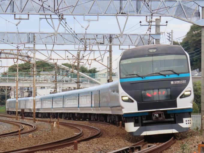 JR東日本E257系電車 踊り子 藤沢駅 (JR) 鉄道フォト・写真 by クハ381-142さん | レイルラボ(RailLab)