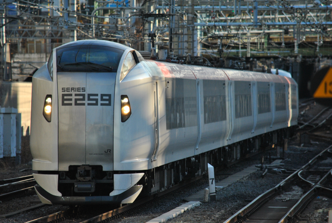 JR東日本E259系電車 成田エクスプレス クロE259-1 品川駅 (JR) 鉄道フォト・写真 by うっちーとれいんさん | レイルラボ(RailLab)