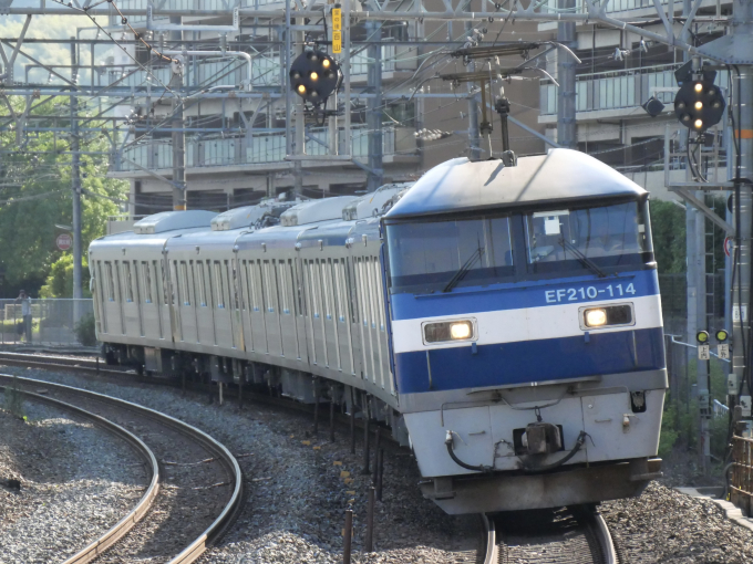 JR貨物EF210形電気機関車 EF210-114 山崎駅 (京都府) 鉄道フォト・写真 by 221系 Yamatoji-Lineさん | レイルラボ(RailLab)