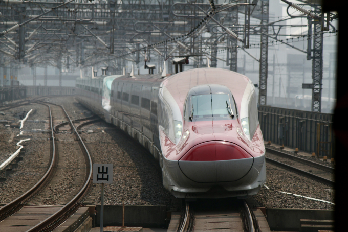 JR東日本 E6系新幹線電車 大宮駅 (埼玉県|JR) 鉄道フォト・写真 by トリデラさん | レイルラボ(RailLab)