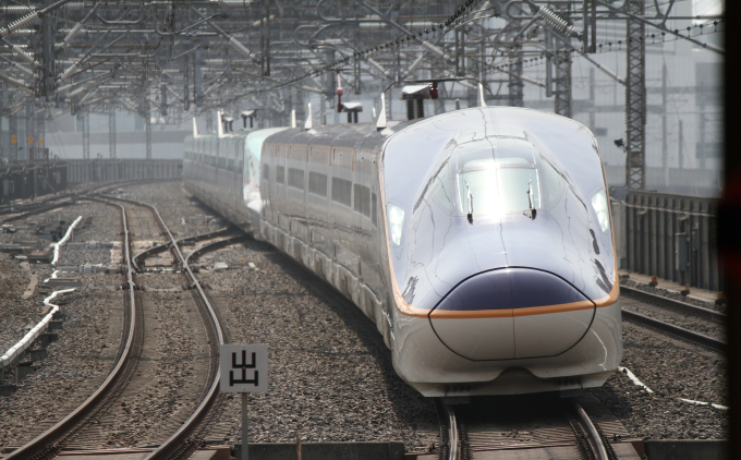 JR東日本 E8系新幹線電車 つばさ 大宮駅 (埼玉県|JR) 鉄道フォト・写真 by トリデラさん | レイルラボ(RailLab)