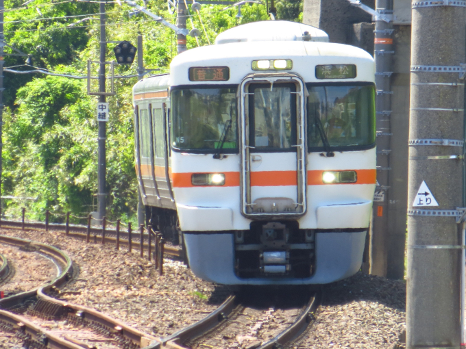 JR東海313系電車 新所原駅 (JR) 鉄道フォト・写真 by Central-315さん | レイルラボ(RailLab)