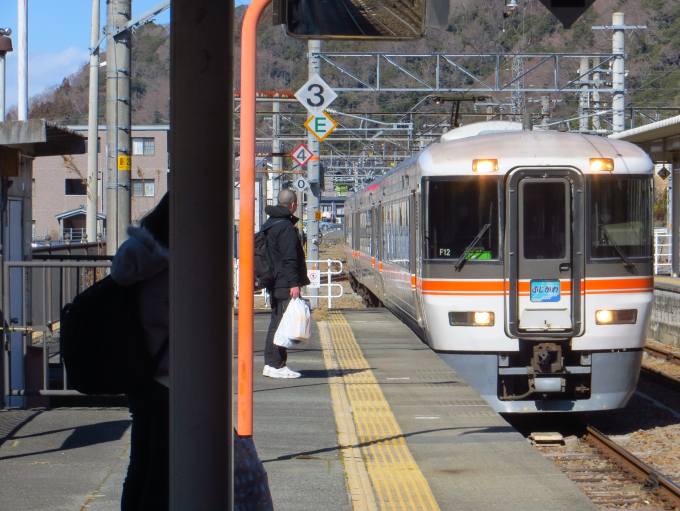 JR東海373系電車 身延駅 鉄道フォト・写真 by Central-315さん | レイルラボ(RailLab)