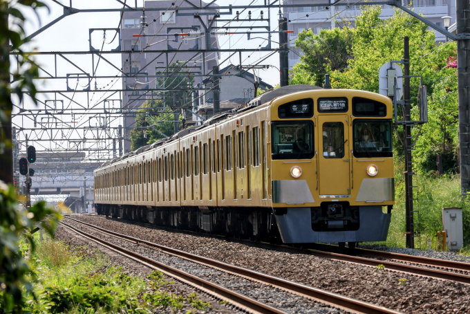 西武鉄道 西武2000系電車 東伏見駅 鉄道フォト・写真 by レフカーボさん | レイルラボ(RailLab)