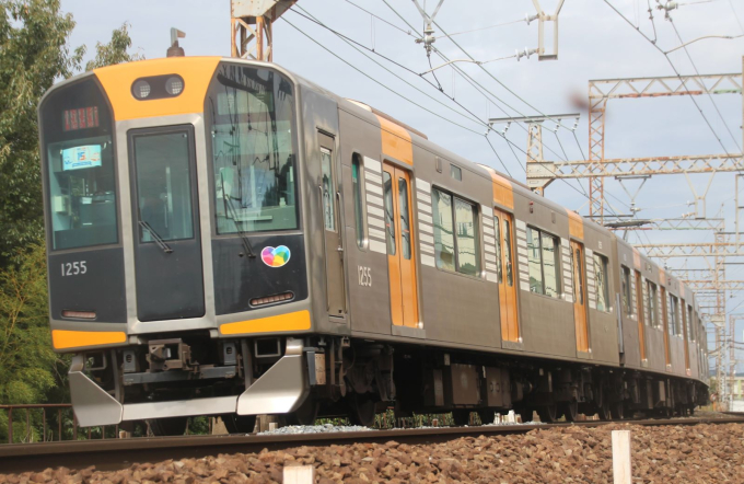 阪神電鉄 阪神1000系電車 1255 石切駅 鉄道フォト・写真 by Yoshi＠LC5820さん | レイルラボ(RailLab)