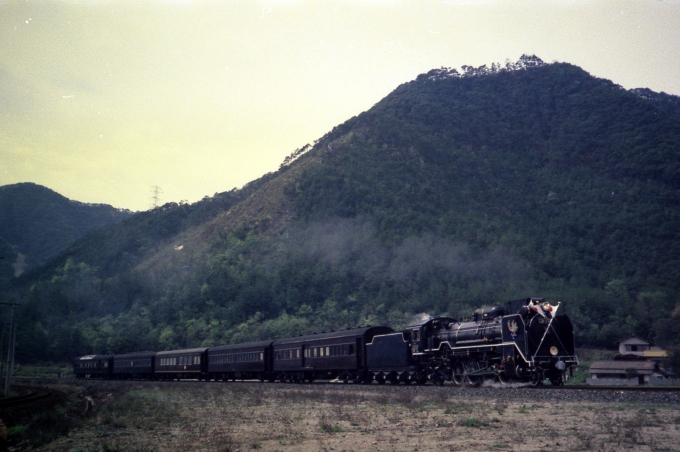 国鉄D51形蒸気機関車 D51-838 清音駅 (JR) 鉄道フォト・写真 by norikadさん | レイルラボ(RailLab)