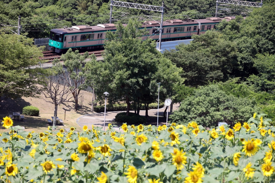 神戸市交通局6000形電車 6632 総合運動公園駅 鉄道フォト・写真(拡大) by norikadさん | レイルラボ(RailLab)