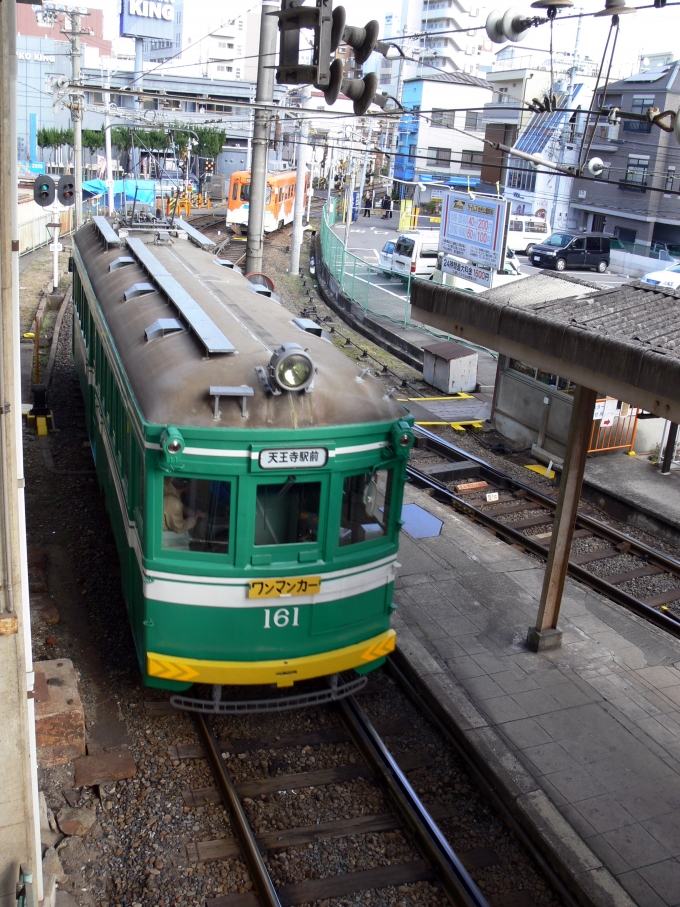 阪堺電気軌道モ161形電車 161 住吉公園停留場 鉄道フォト・写真 by norikadさん | レイルラボ(RailLab)