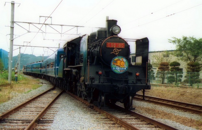 JR西日本 国鉄C56形蒸気機関車 C56 160 柏原駅 (兵庫県) 鉄道フォト・写真 by norikadさん | レイルラボ(RailLab)