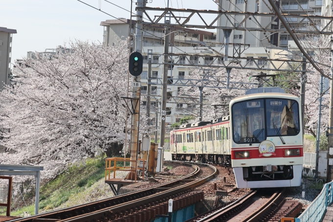 神戸電鉄5000系電車 5013 長田駅 (兵庫県|神戸電鉄) 鉄道フォト・写真 by norikadさん | レイルラボ(RailLab)
