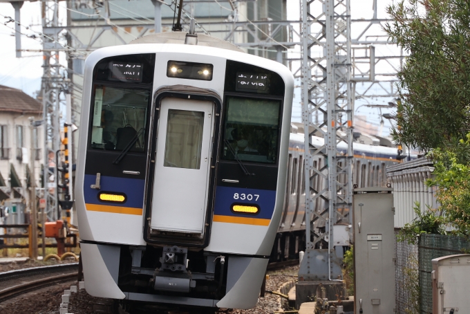 南海電鉄 南海8300系電車 8307 二色浜駅 鉄道フォト・写真 by norikadさん | レイルラボ(RailLab)