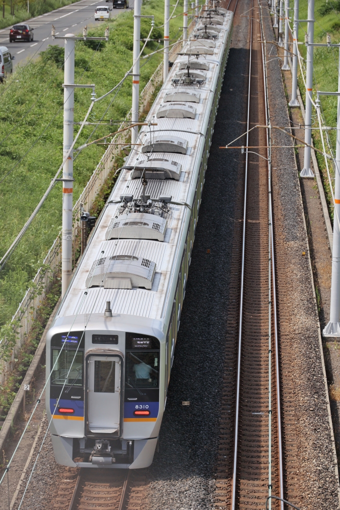 南海8300系 8310F編成 (小原田検車区) 徹底ガイド | レイルラボ(RailLab)
