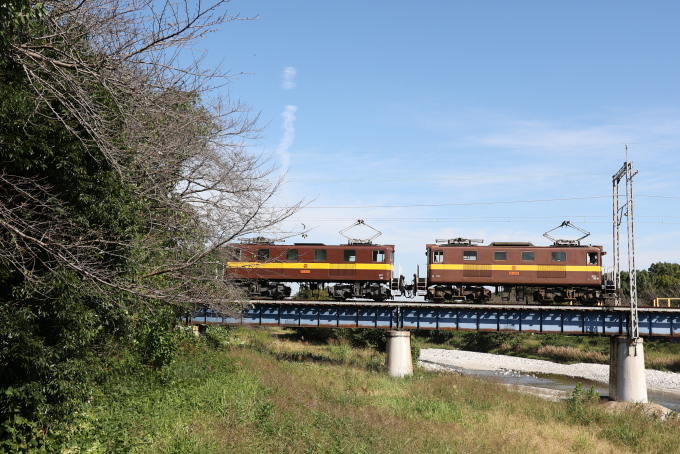 三岐鉄道ED45形電気機関車 2 大安駅 鉄道フォト・写真 by norikadさん | レイルラボ(RailLab)