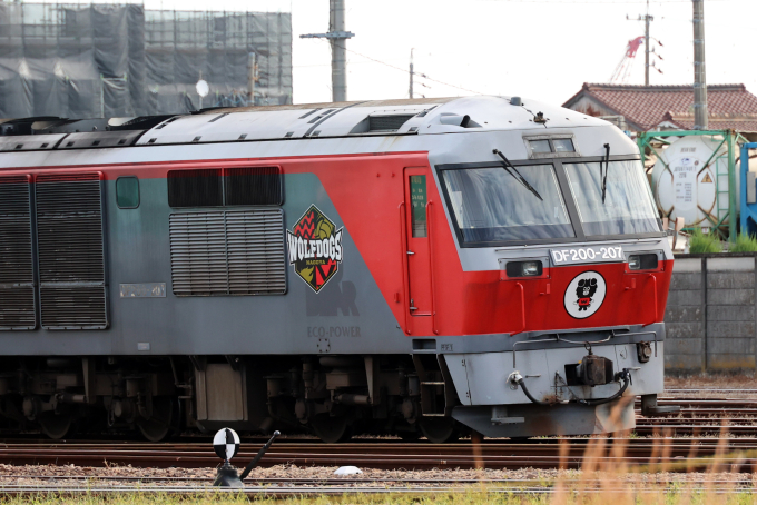 JR貨物 DF200形ディーゼル機関車 DF200-207 四日市駅 鉄道フォト・写真 by norikadさん | レイルラボ(RailLab)