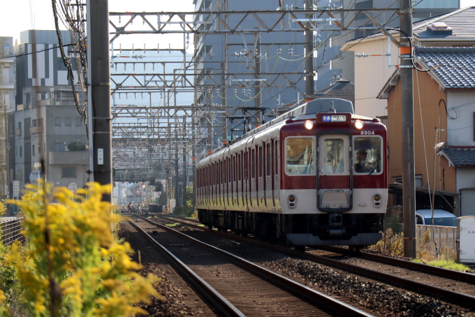 近畿日本鉄道 8904 大和八木駅 鉄道フォト・写真 by norikadさん | レイルラボ(RailLab)