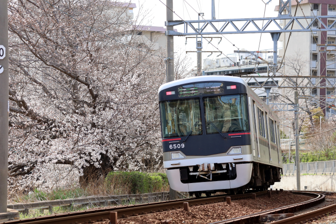 神戸電鉄6500系電車 6509 長田駅 (兵庫県|神戸電鉄) 鉄道フォト・写真 by norikadさん | レイルラボ(RailLab)