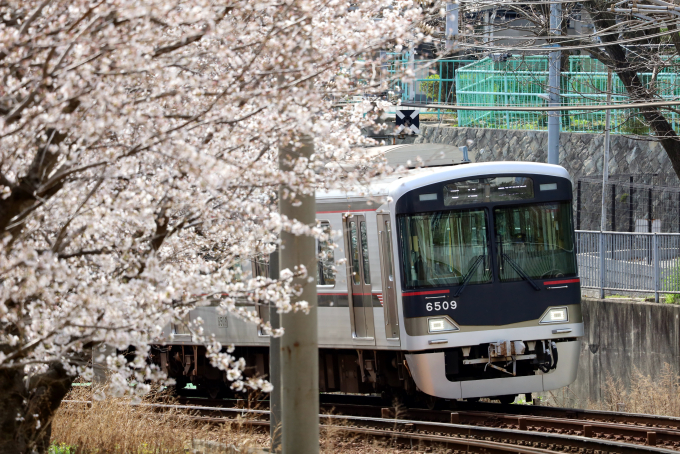 神戸電鉄6500系電車 6509 長田駅 (兵庫県|神戸電鉄) 鉄道フォト・写真 by norikadさん | レイルラボ(RailLab)
