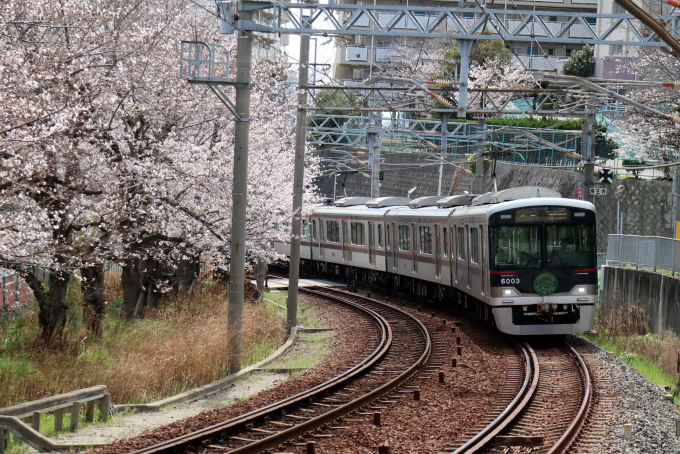 神戸電鉄6000系電車 6003 長田駅 (兵庫県|神戸電鉄) 鉄道フォト・写真 by norikadさん | レイルラボ(RailLab)