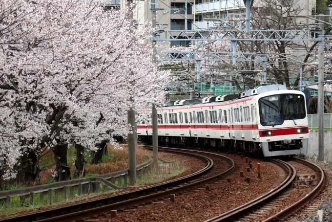 神戸電鉄5000系電車 5008 長田駅 (兵庫県|神戸電鉄) 鉄道フォト・写真 by norikadさん | レイルラボ(RailLab)