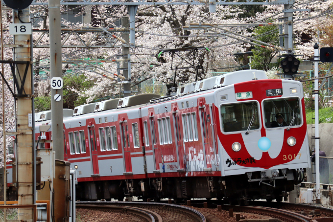 神戸電鉄 神戸電気鉄道3000系電車 3017 長田駅 (兵庫県|神戸電鉄) 鉄道フォト・写真 by norikadさん | レイルラボ ...