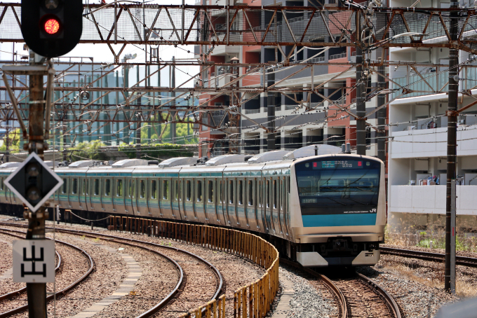 JR東日本E233系電車 E233-117 根岸駅 (神奈川県) 鉄道フォト・写真 by norikadさん | レイルラボ(RailLab)