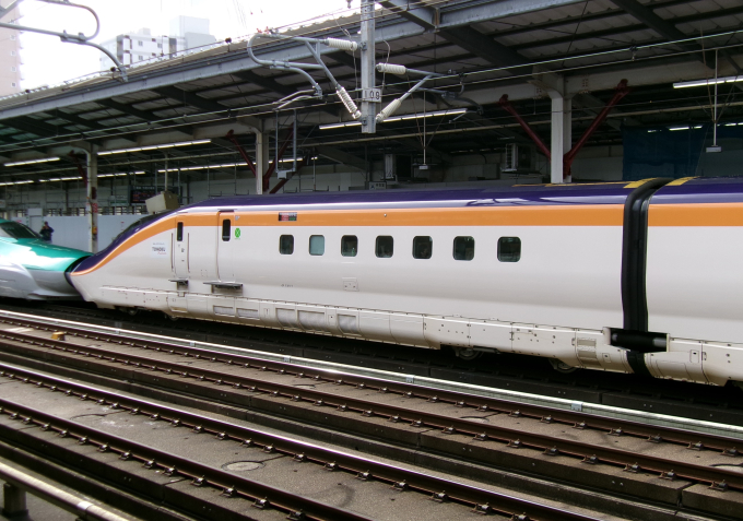 JR東日本 E8系新幹線電車 つばさ E811-7 宇都宮駅 鉄道フォト・写真 by 北東航1さん | レイルラボ(RailLab)