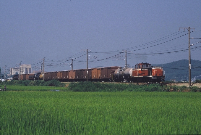 水島臨海鉄道DE70形ディーゼル機関車 DE701 中庄駅 鉄道フォト・写真 by 北東航1さん | レイルラボ(RailLab)