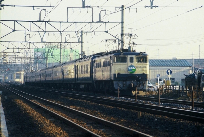 JR東日本 国鉄EF65形電気機関車 エルム EF65 1018 宇都宮駅 鉄道フォト・写真 by 北東航1さん | レイルラボ(RailLab)