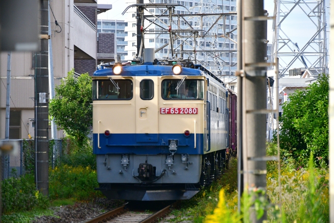 JR貨物 国鉄EF65形電気機関車 EF65-2080 尻手駅 鉄道フォト・写真 by spockerさん | レイルラボ(RailLab)