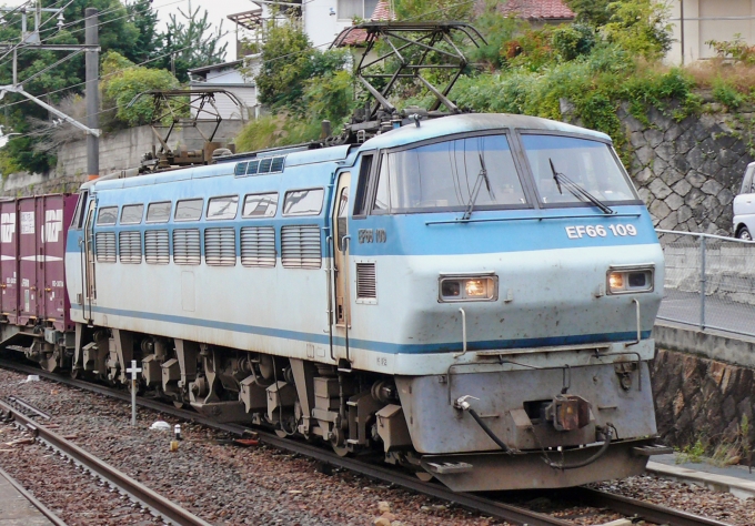JR貨物 国鉄EF66形電気機関車 EF66-109 西条駅 (広島県) 鉄道フォト・写真 by ちゃぽんさん | レイルラボ(RailLab)