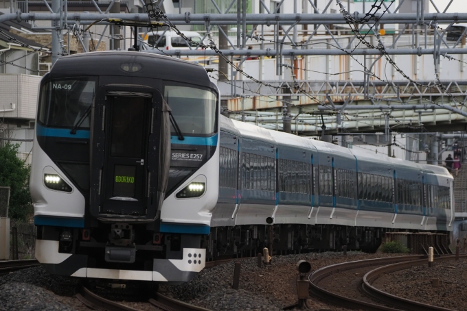 JR東日本E257系電車 クハE257-2112 横浜駅 (JR) 鉄道フォト・写真 by Takさん | レイルラボ(RailLab)