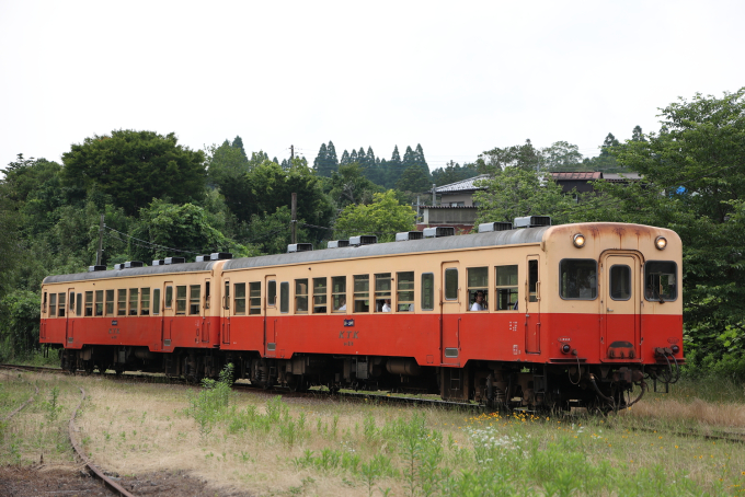 小湊鐵道キハ200形気動車 キハ214 上総中野駅 (小湊鉄道) 鉄道フォト・写真 by REDさん | レイルラボ(RailLab)