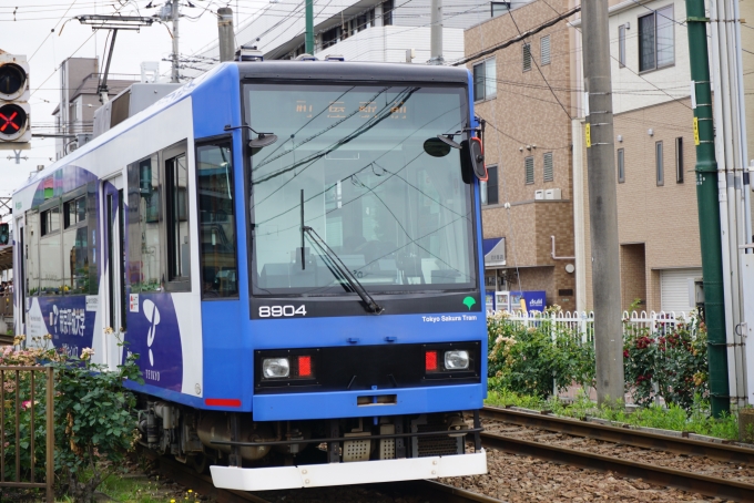 東京都交通局8900形電車 8904 荒川車庫前停留場 鉄道フォト・写真 by トレインさん | レイルラボ(RailLab)