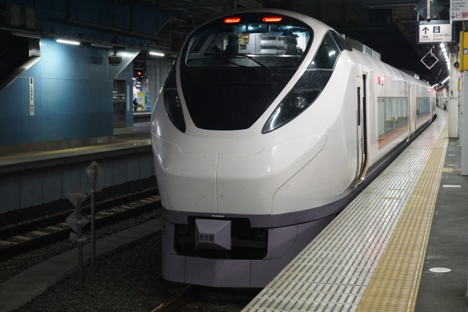 JR東日本E657系電車 ひたち クハE656-19 品川駅 (JR) 鉄道フォト・写真 by トレインさん | レイルラボ(RailLab)