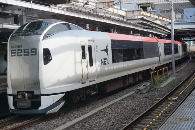 JR東日本E259系電車 成田エクスプレス クロE259-1 品川駅 (JR) 鉄道フォト・写真 by トレインさん | レイルラボ(RailLab)
