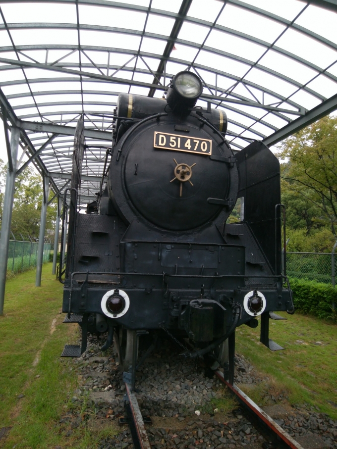 JR 国鉄D51形蒸気機関車 D51 470 岐阜市内梅林公園 鉄道フォト・写真 by シバチャンさん | レイルラボ(RailLab)