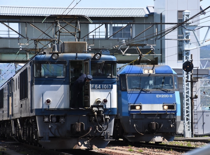JR貨物 国鉄EF64形電気機関車 EF64-1017 南松本駅 鉄道フォト・写真 by おなだいさん | レイルラボ(RailLab)