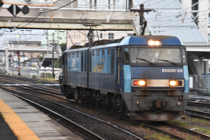 JR貨物EH200形電気機関車 EH200-20 南松本駅 鉄道フォト・写真 by おなだいさん | レイルラボ(RailLab)
