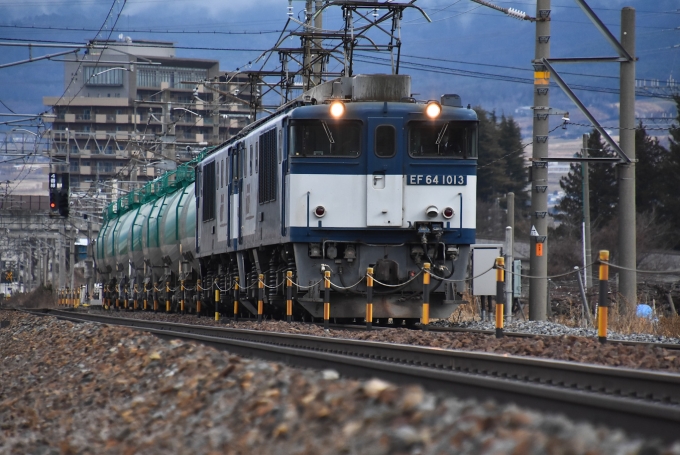 JR貨物 国鉄EF64形電気機関車 EF64-1013 塩尻駅 鉄道フォト・写真 by おなだいさん | レイルラボ(RailLab)