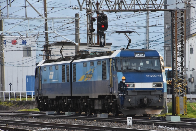 JR貨物EH200形電気機関車 EH200-15 南松本駅 鉄道フォト・写真 by おなだいさん | レイルラボ(RailLab)