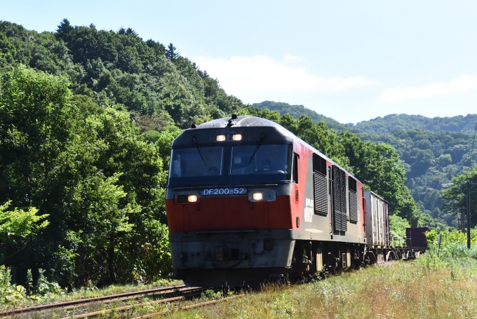 JR貨物 DF200形ディーゼル機関車 DF200-52 大沼駅 (北海道) 鉄道フォト・写真 by おなだいさん | レイルラボ(RailLab)