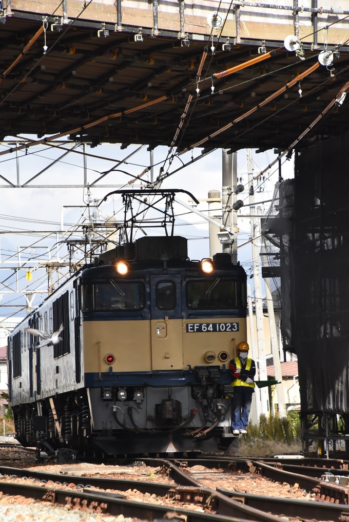 JR貨物 国鉄EF64形電気機関車 EF64-1023 篠ノ井駅 (JR) 鉄道フォト・写真 by おなだいさん | レイルラボ(RailLab)