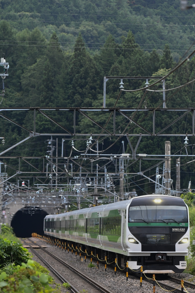 JR東日本E257系電車 あずさ クハE256-5005 みどり湖駅 鉄道フォト・写真 by おなだいさん | レイルラボ(RailLab)